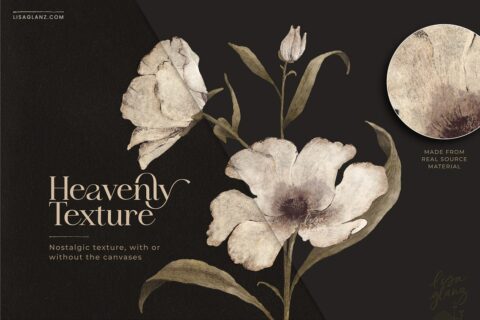 Vintage Tales Brushes and Canvas Effects for Procreate - Lisa Glanz